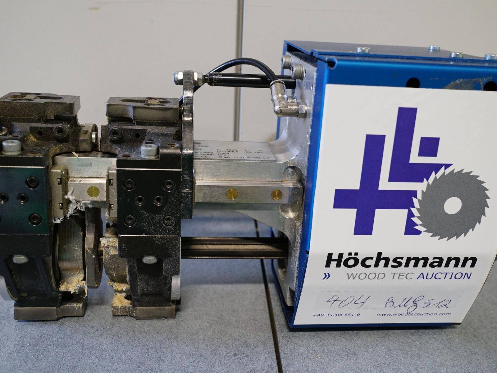 Aggregates for CNC HOMAG KOMBIAGGREGAT PROFIL/RADIUS buy second-hand