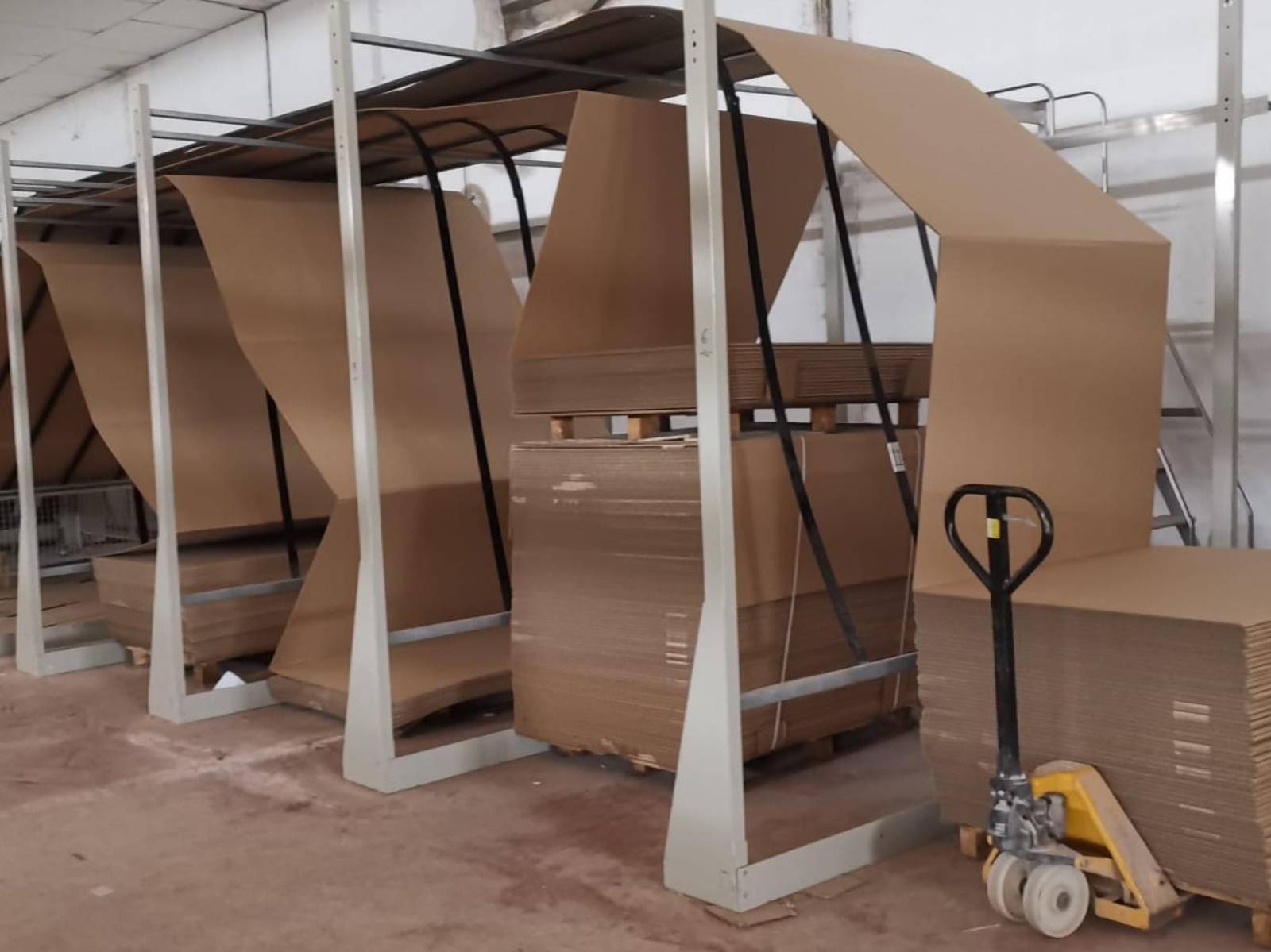 PANOTEC Packaging machine ECO 8 AS-4CL buy second-hand