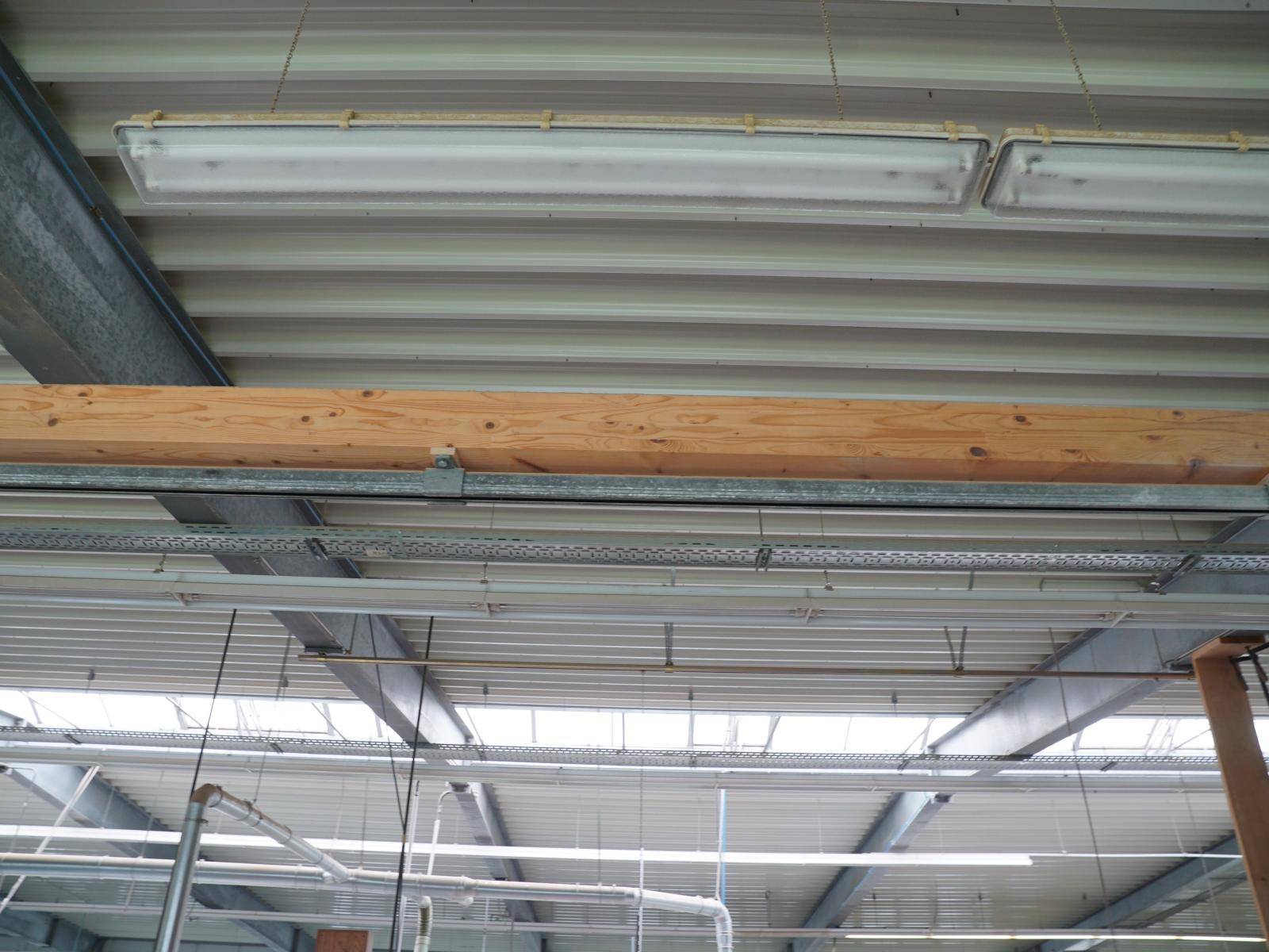 Auction Ceiling conveyor with hooks