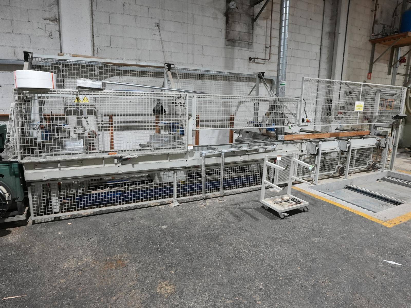 EDLER Multiblade slasher saw buy second-hand