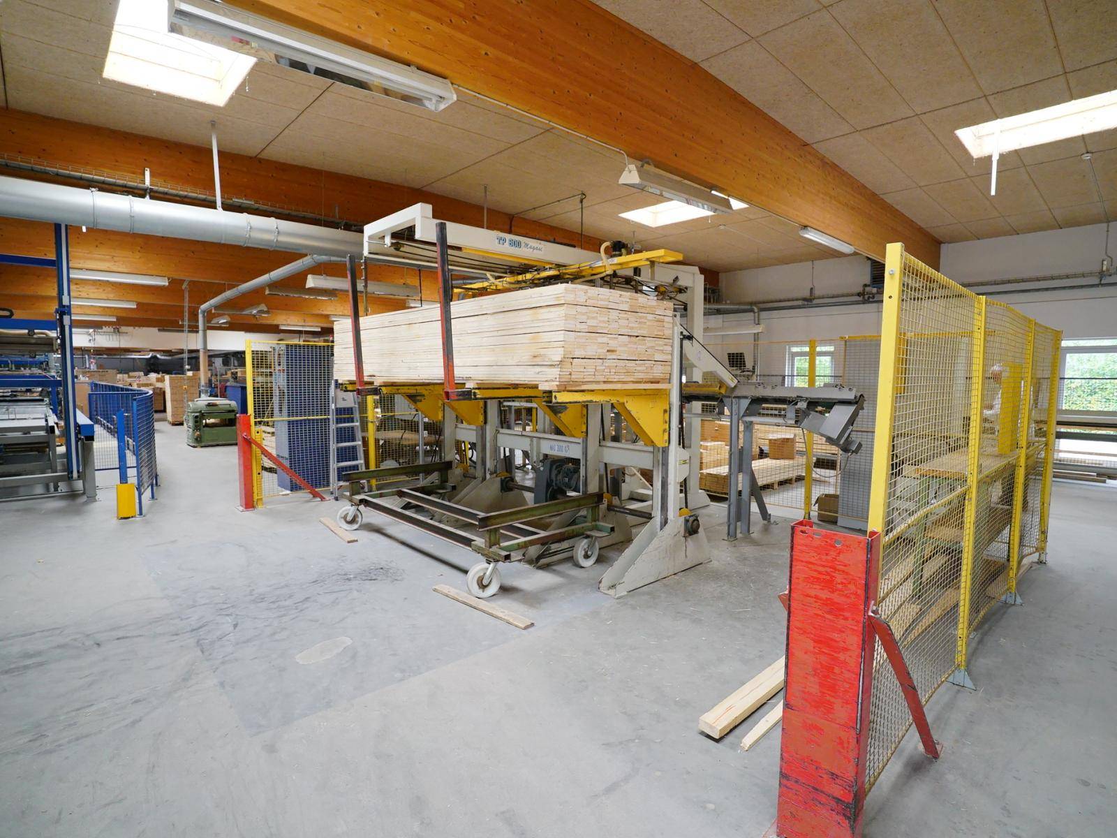 PAUL Optimization cross-cut saw C11 E buy second-hand