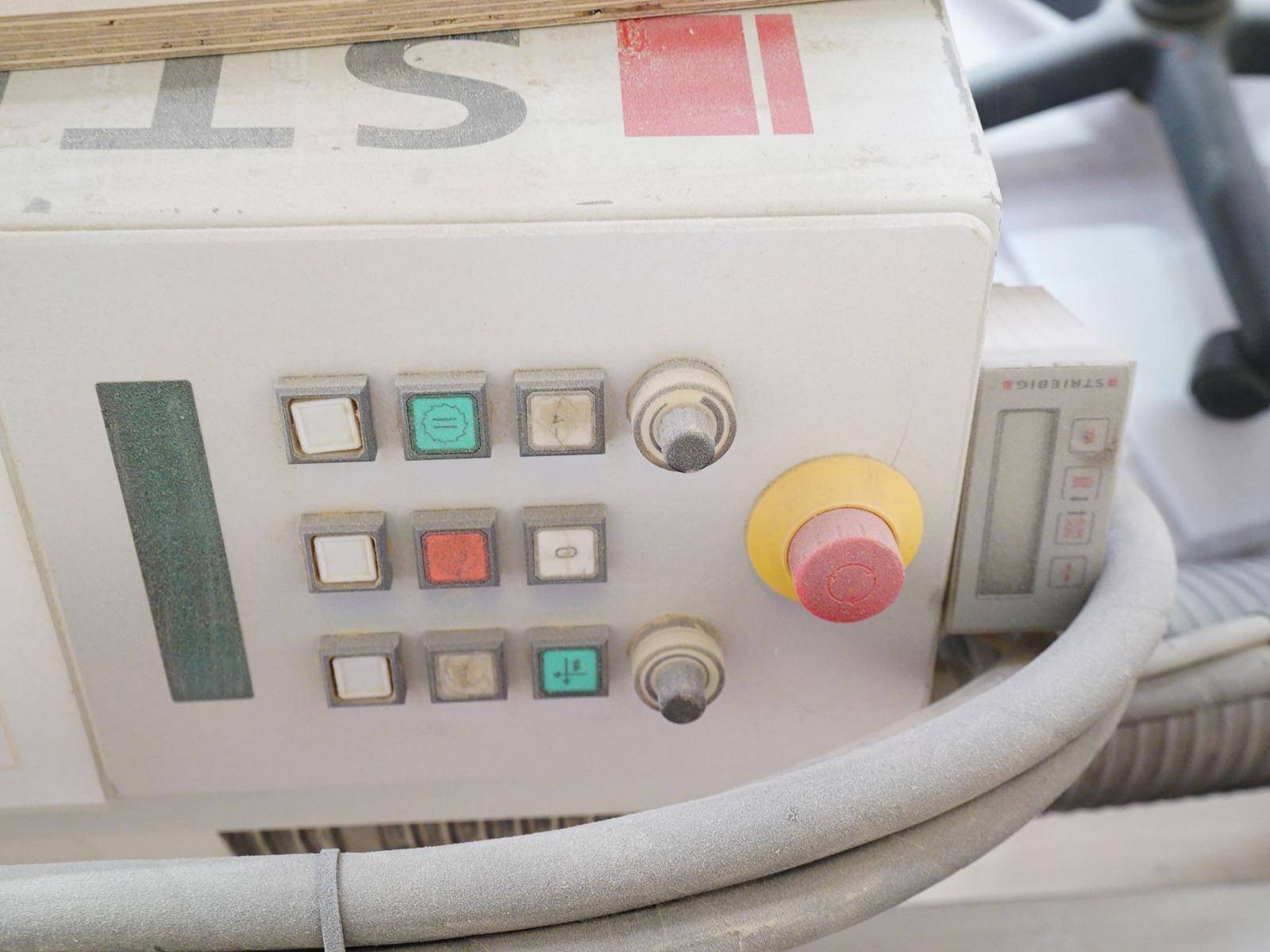 STRIEBIG sierra de placas vertical AUTOMAT III TRK 5220A comprar usado