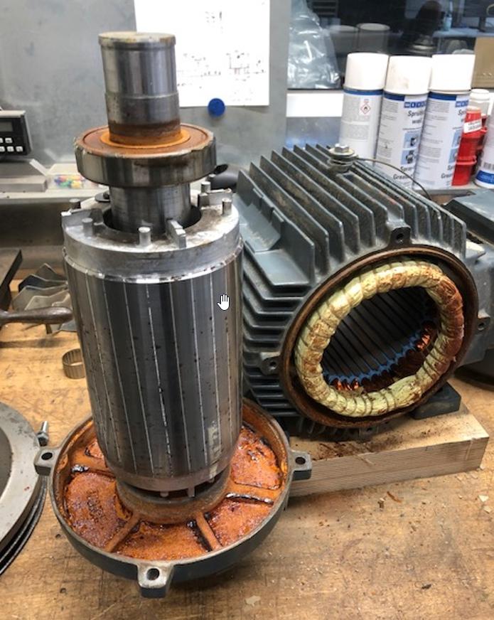 Rauch- und Wasserschäden - WOOD TEC PEDIA